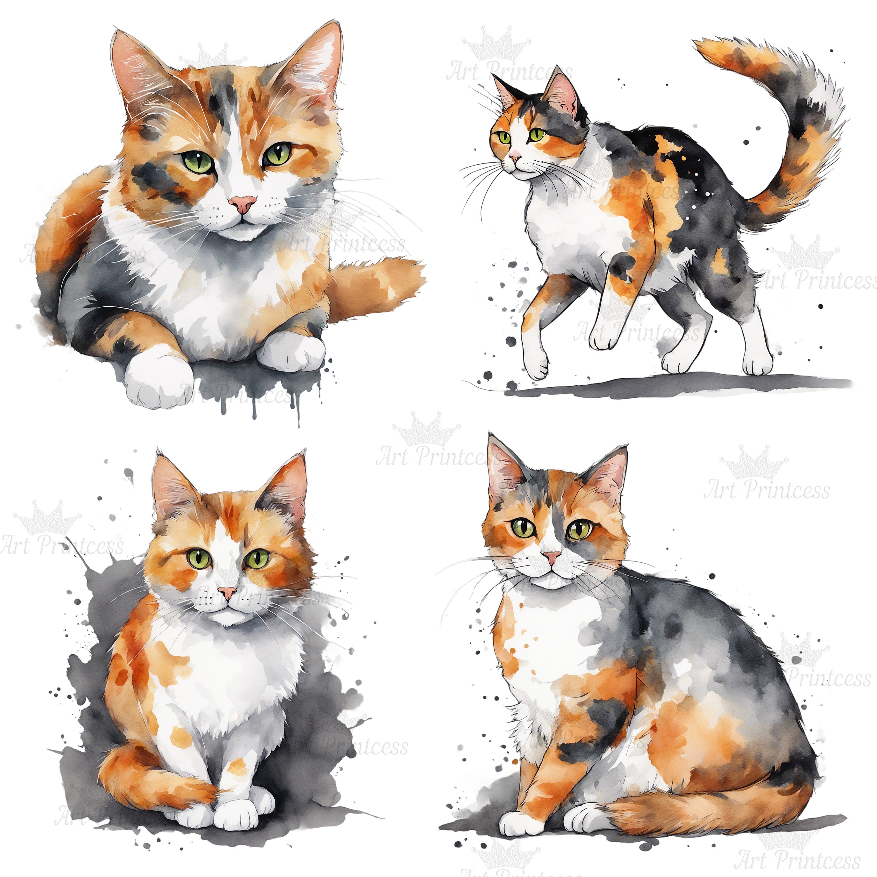 Calico Cat Watercolor Clipart PNG Bundle Cute Baby Cat Clipart Calico ...