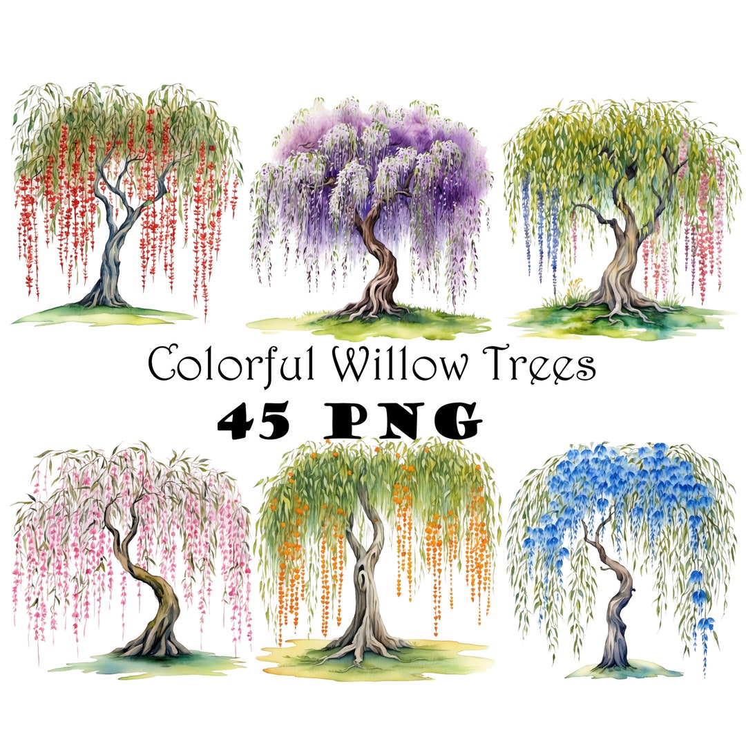 Colorful Weeping Willow Tree Clipart Bundle PNG Willow Anniversary ...