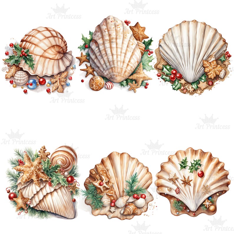 Coastal Christmas Seashells Watercolor Clipart PNG 50 Digital Download ...
