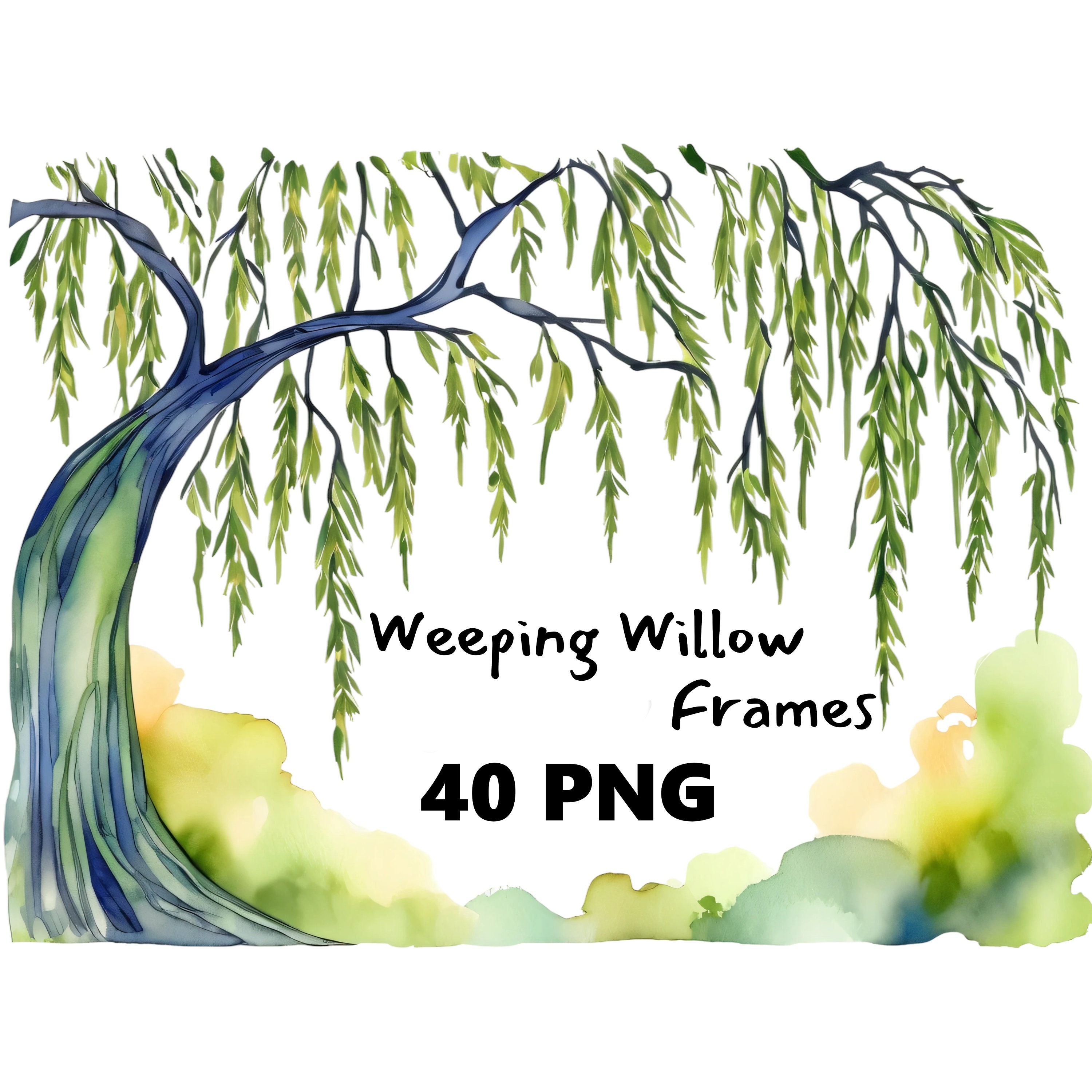 Weeping Willow Tree Border Frame Transparent Background Clipart Bundle ...
