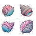 Preppy Seashell Watercolor Clipart PNG Pastel Tropical Glitter Seashell ...