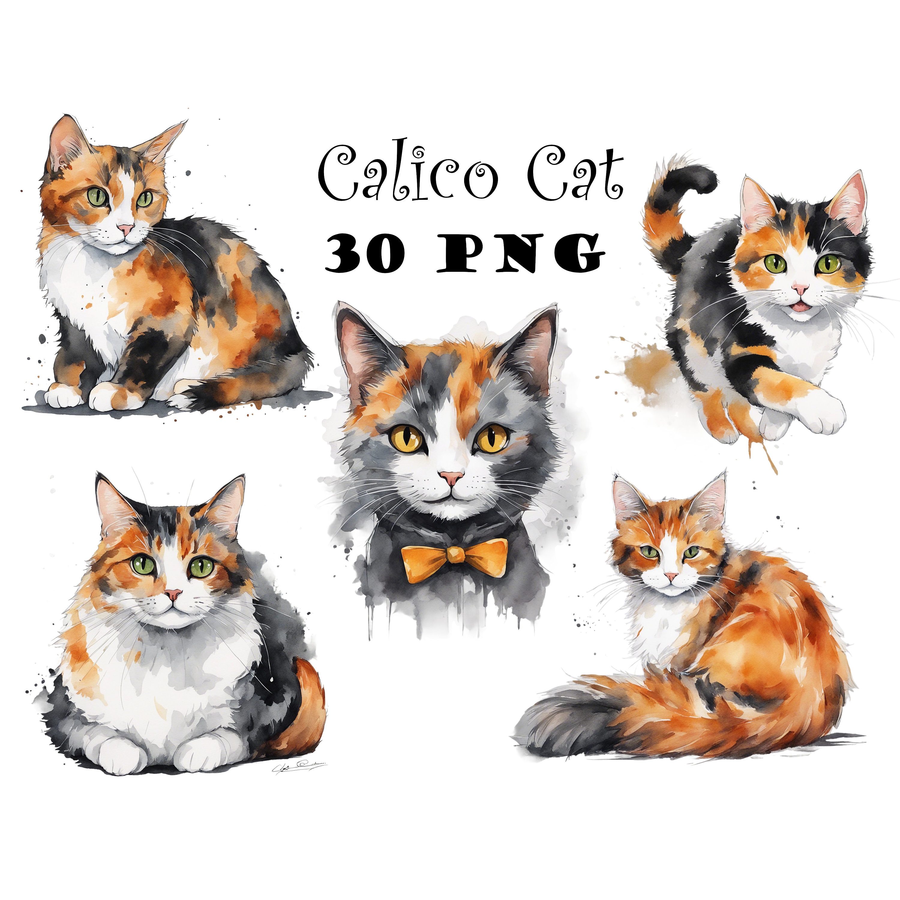 Calico Cat Watercolor Clipart PNG Bundle Cute Baby Cat Clipart Calico ...