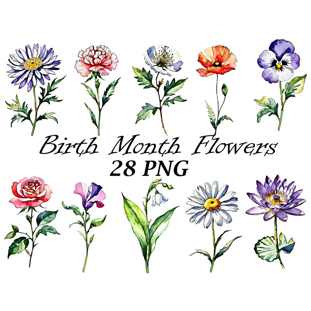 Watercolor Birth Month Flower Clipart Birth Month Flower Transparent ...