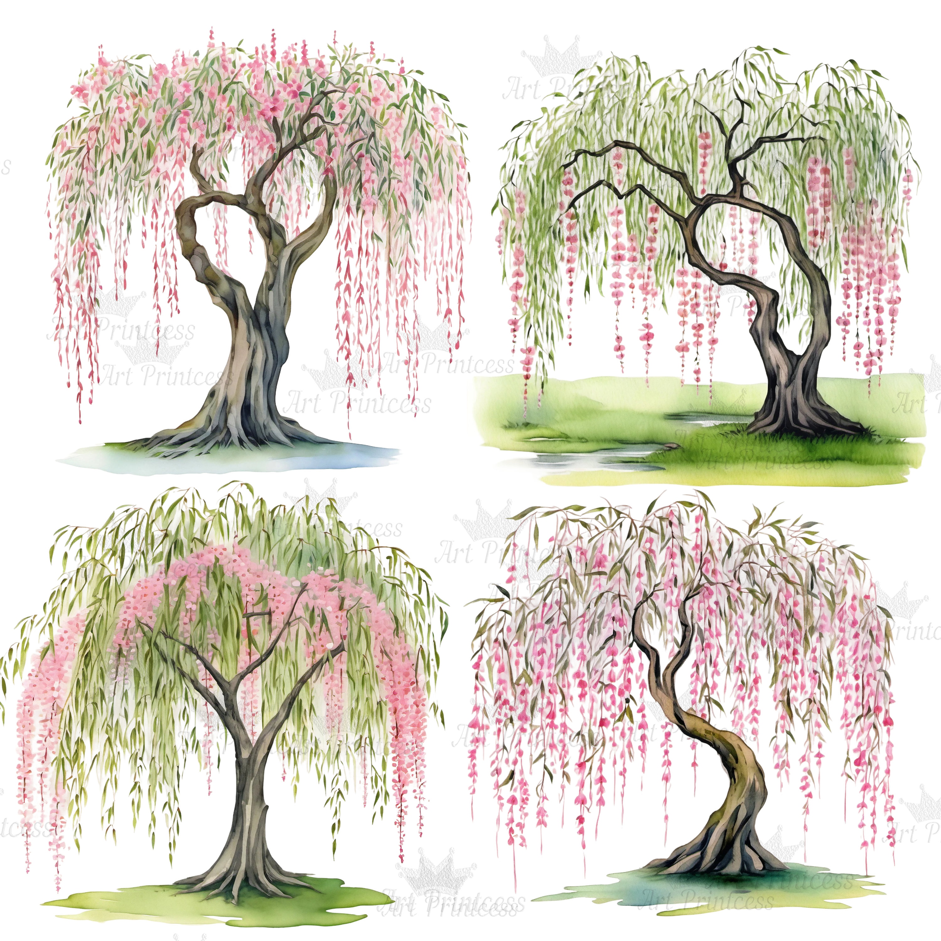 Colorful Weeping Willow Tree Clipart Bundle PNG Willow Anniversary ...