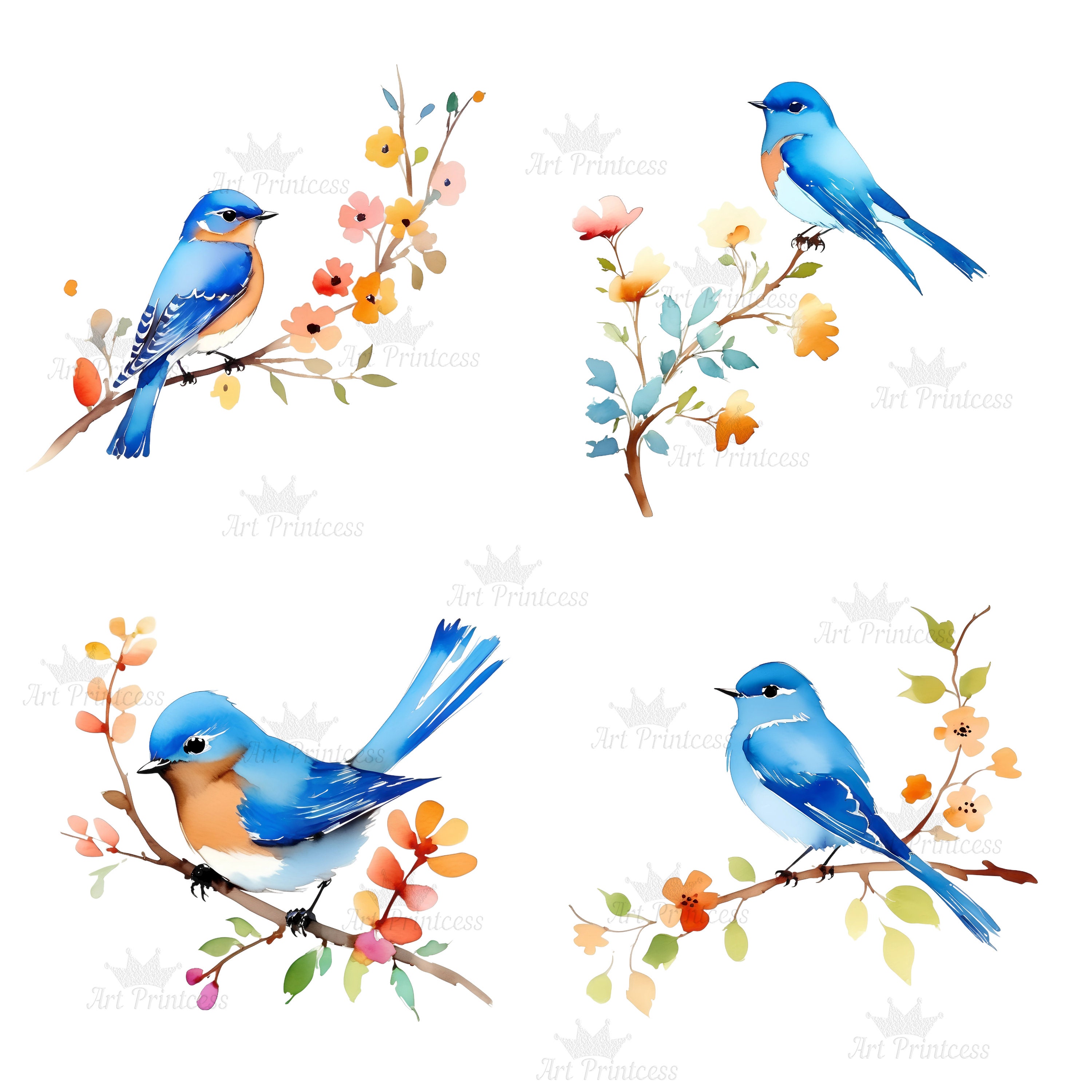 Bluebird Watercolor Gouache Clipart 40 PNG Digital Download Bundle Free ...
