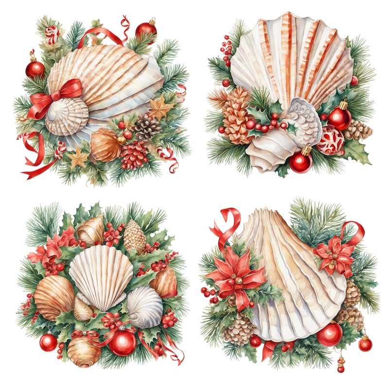 Coastal Christmas Seashells 35 Clipart PNG Watercolor Tropical Beach ...