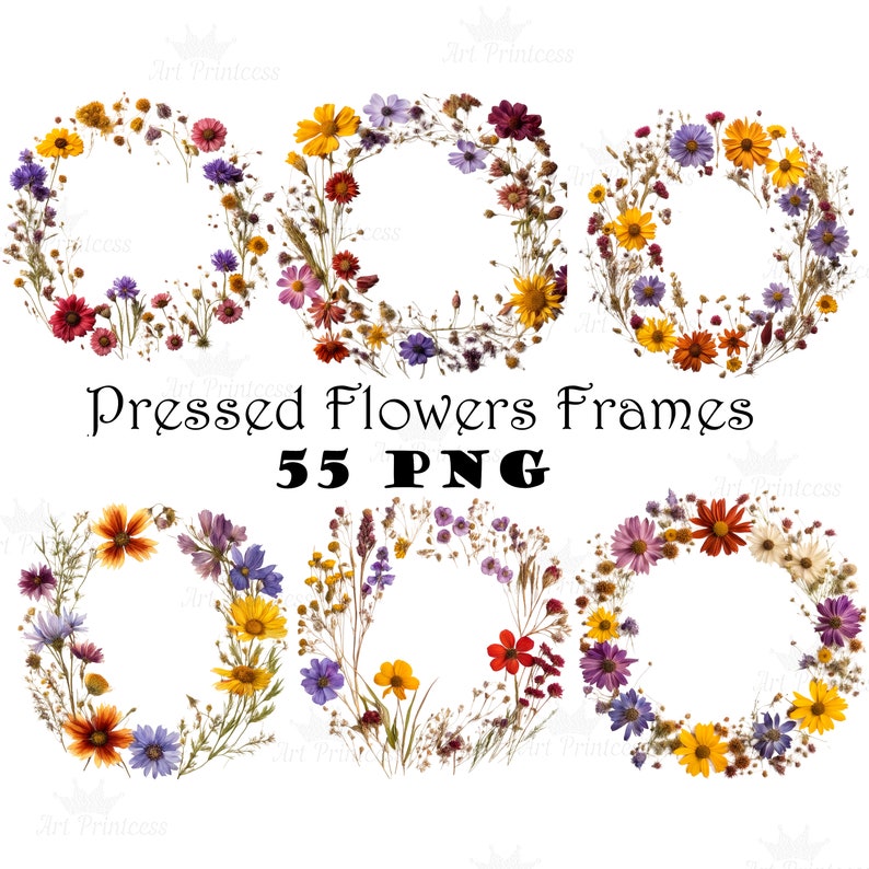 Natural Pressed Wildflowers Frame PNG Dried Boho Flowers Frames Rustic ...