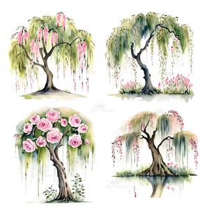 Pink Watercolor Weeping Willow Tree Clipart Transparent Background ...