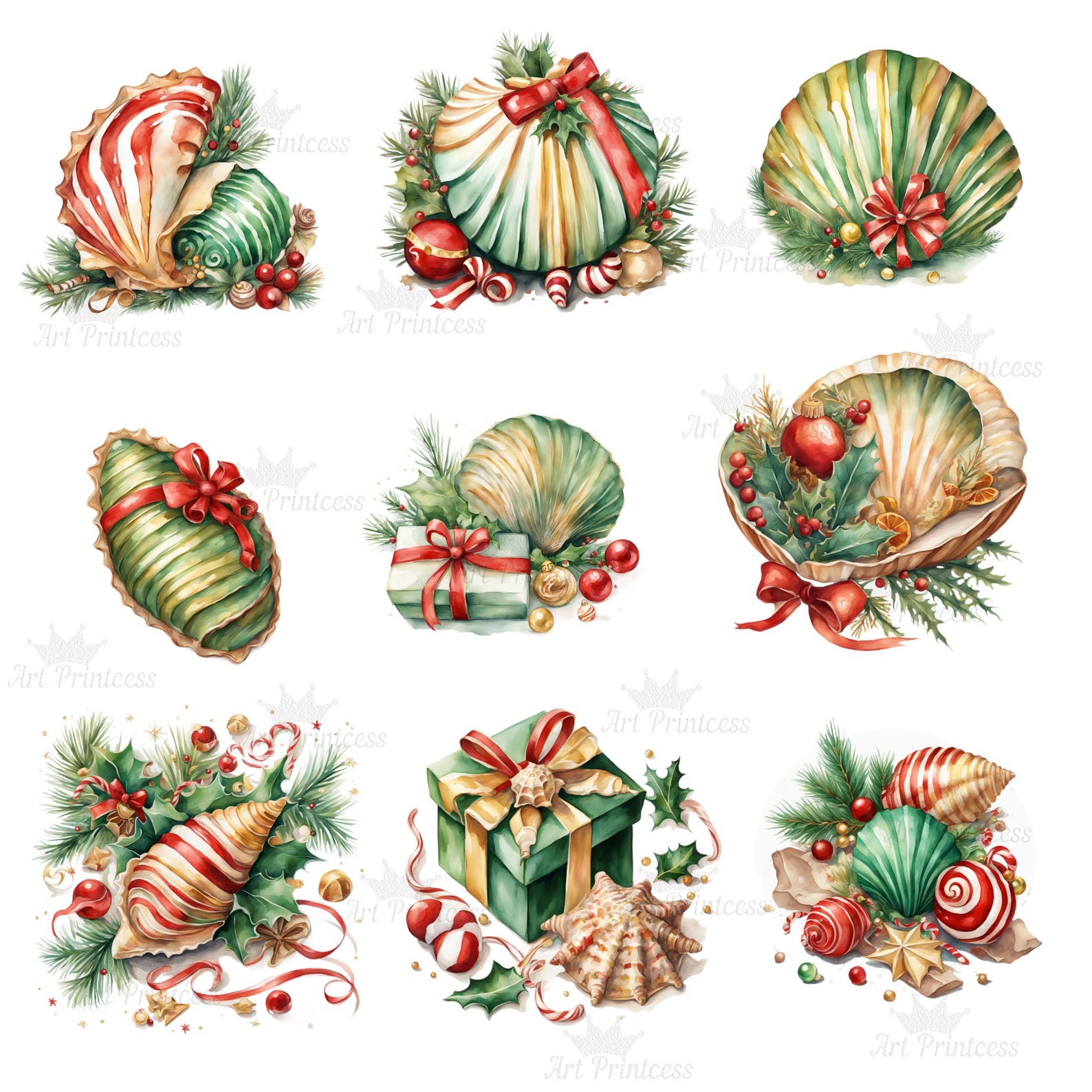 Coastal Christmas Seashells 35 Clipart PNG Watercolor Tropical Beach ...