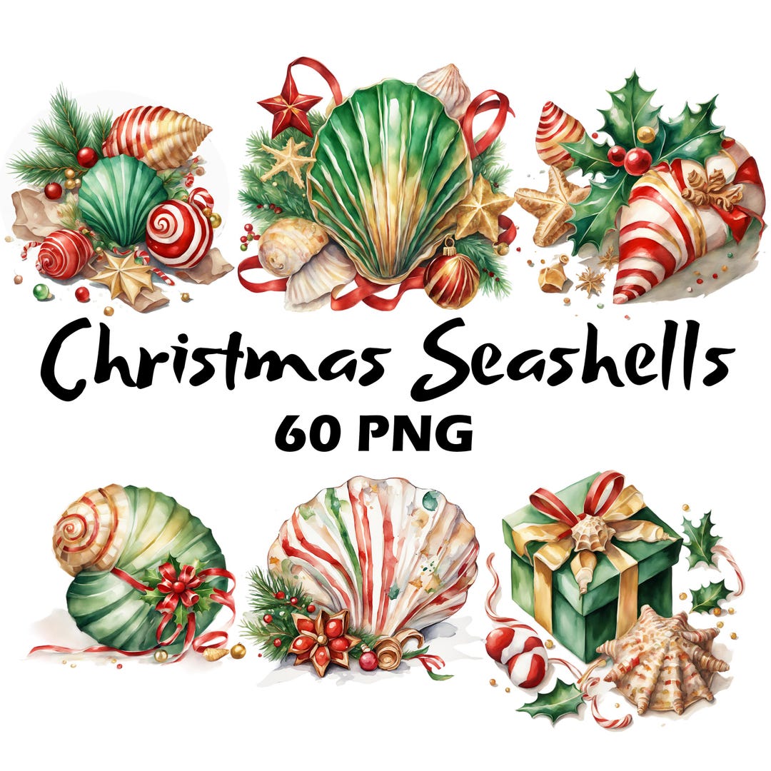 Coastal Christmas Seashells 35 Clipart PNG Watercolor Tropical Beach ...