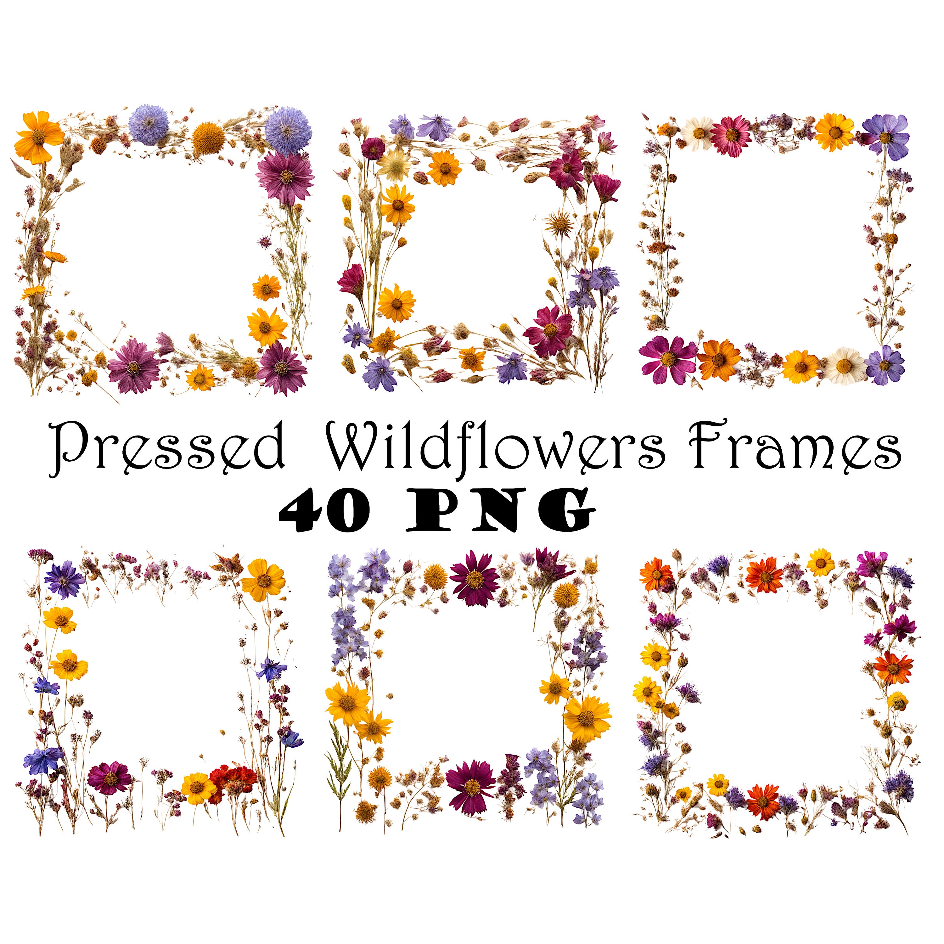 Pressed Dried Wildflowers Border Frames PNG Boho Wildflowers Border ...