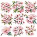 Sakura Watercolor Clipart PNG Bundle Sakura Tree Clipart Sakura Flower ...