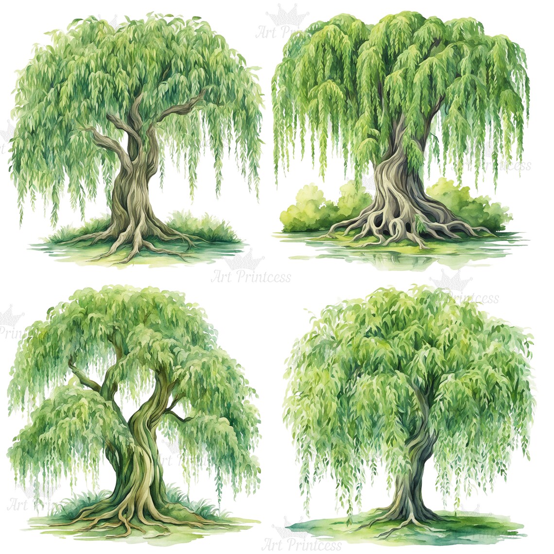 Watercolor Weeping Willow Tree Clipart PNG Willow Tree Graphics ...