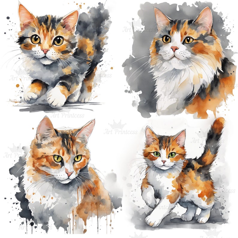 Calico Cat Watercolor Clipart PNG Bundle Cute Baby Cat Clipart Calico ...