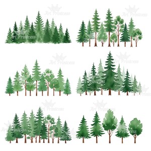 Watercolor Forest & Moon Phases Clipart: Celestial Woodland PNG ...