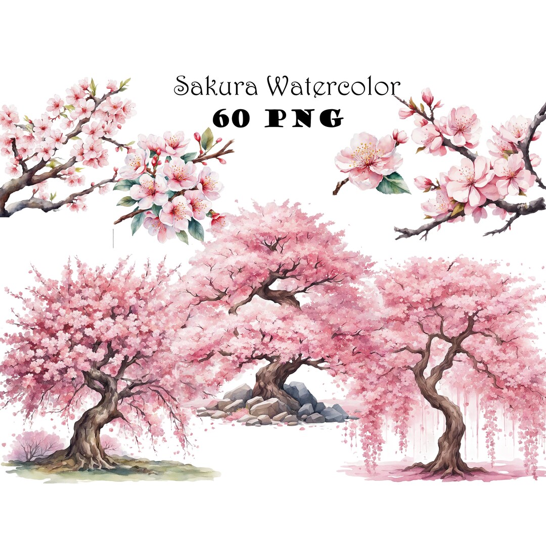 Sakura Watercolor Clipart PNG Bundle Sakura Tree Clipart Sakura Flower ...