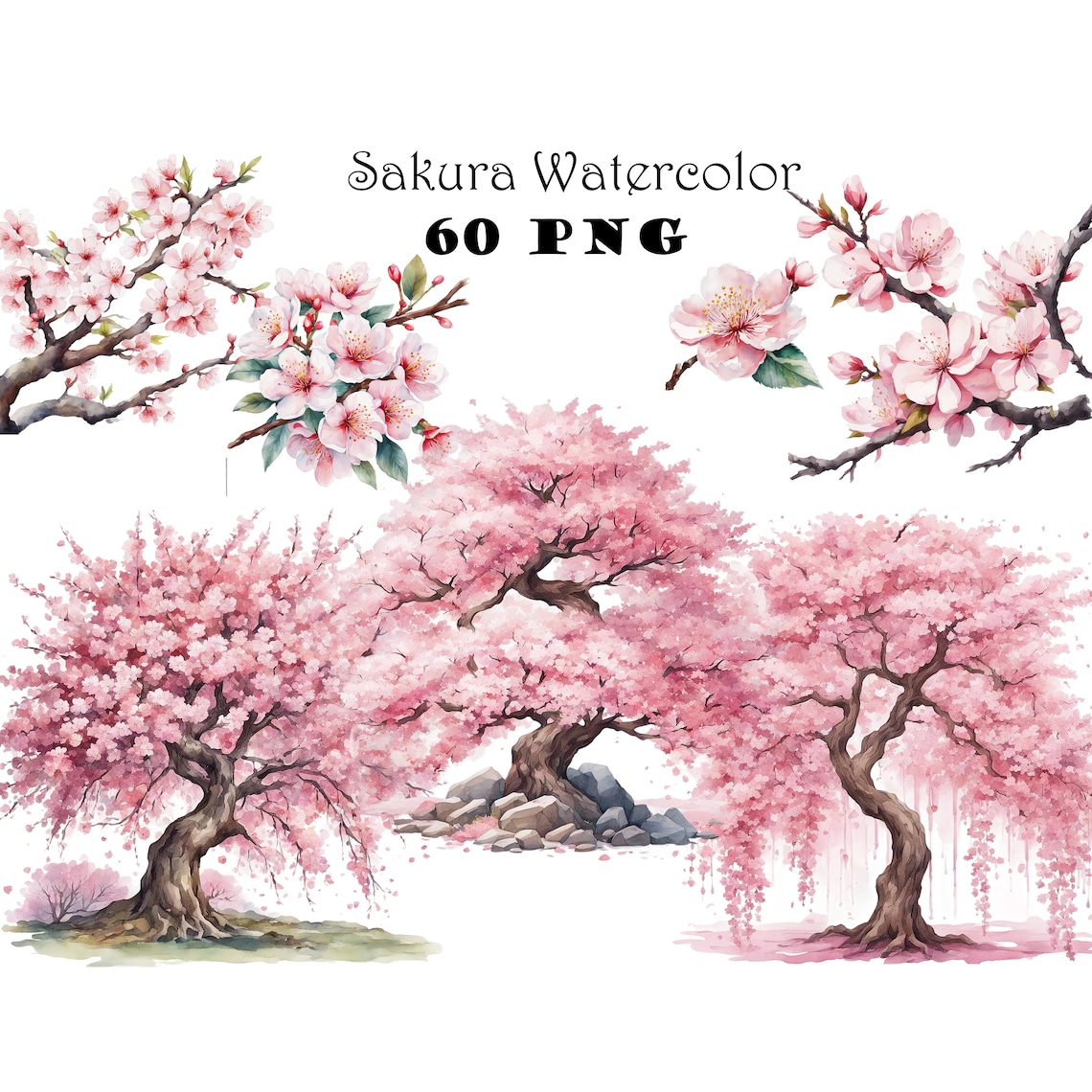 Sakura Watercolor Clipart PNG Bundle Sakura Tree Clipart Sakura Flower ...