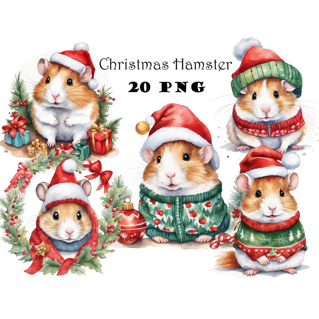 Christmas Cute Hamster Pet Watercolor Clipart PNG DIY Christmas Hamster ...
