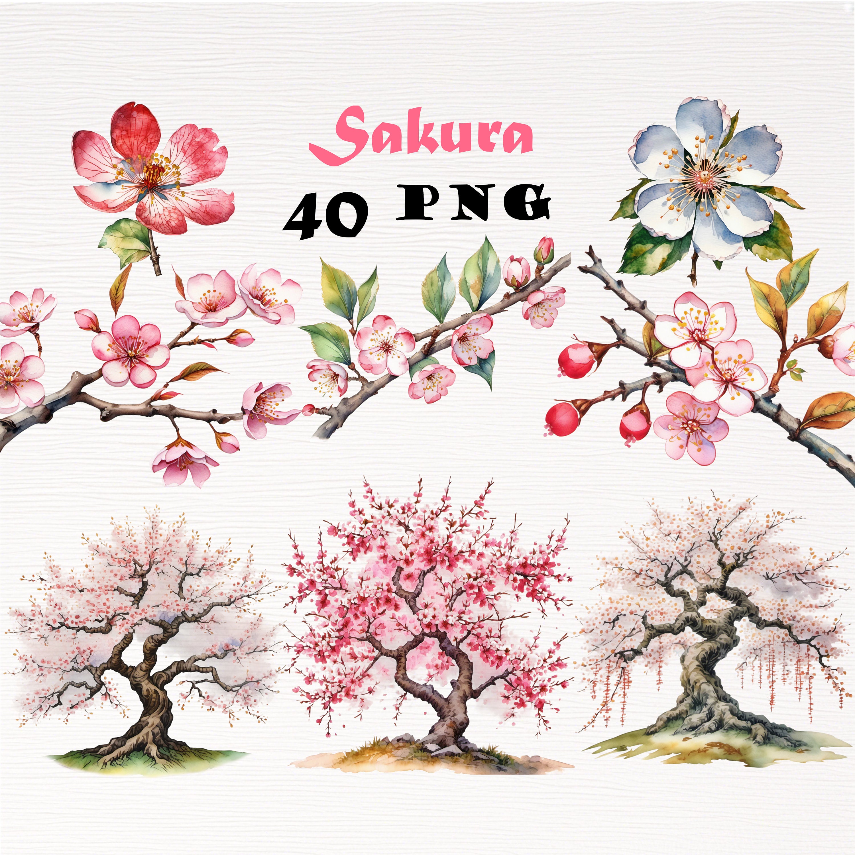 Sakura Clipart PNG Sakura Tree Sakura Branch Sakura Flower Watercolor ...