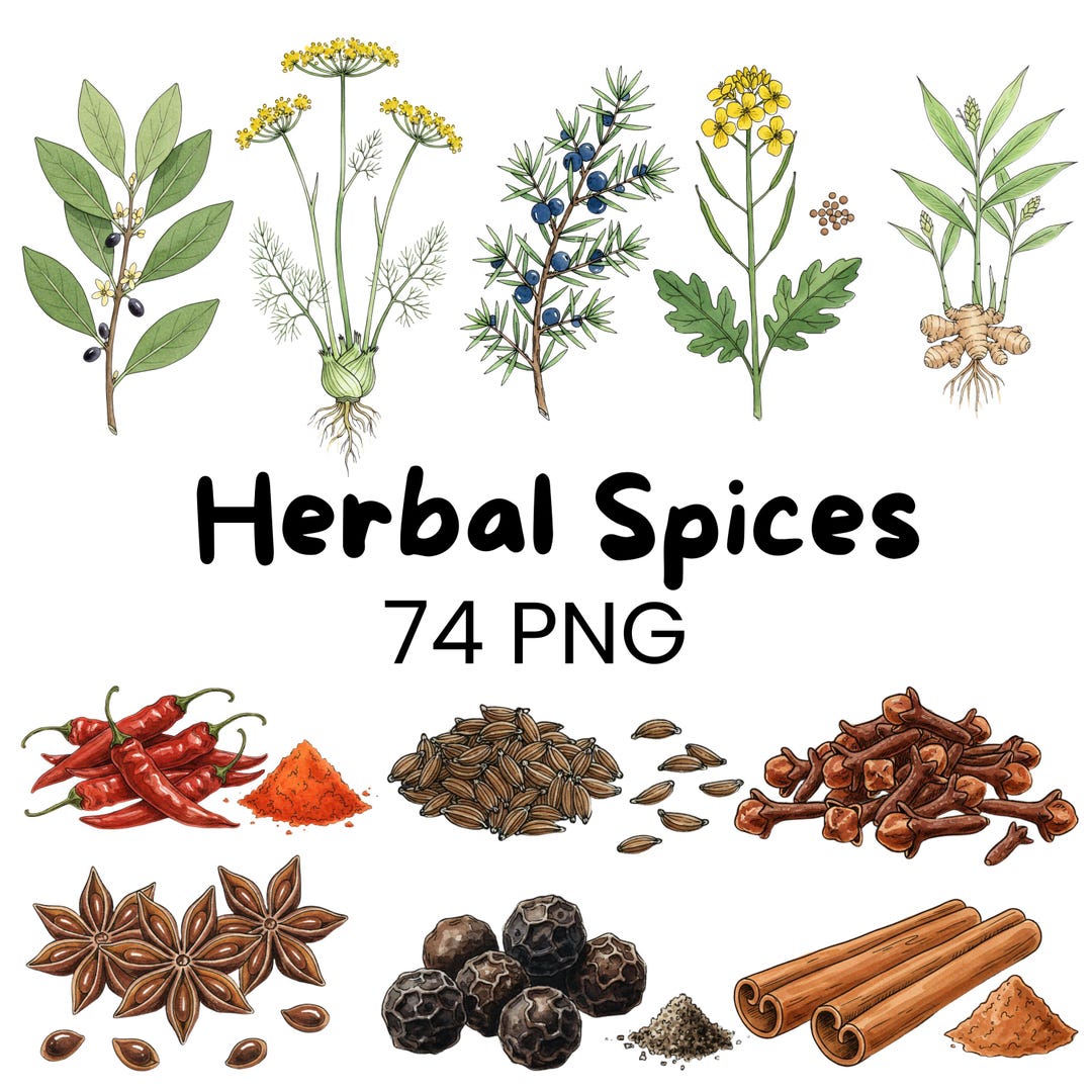 Watercolor Herbs and Spices Clipart PNG Bundle - Kitchen Botanical ...