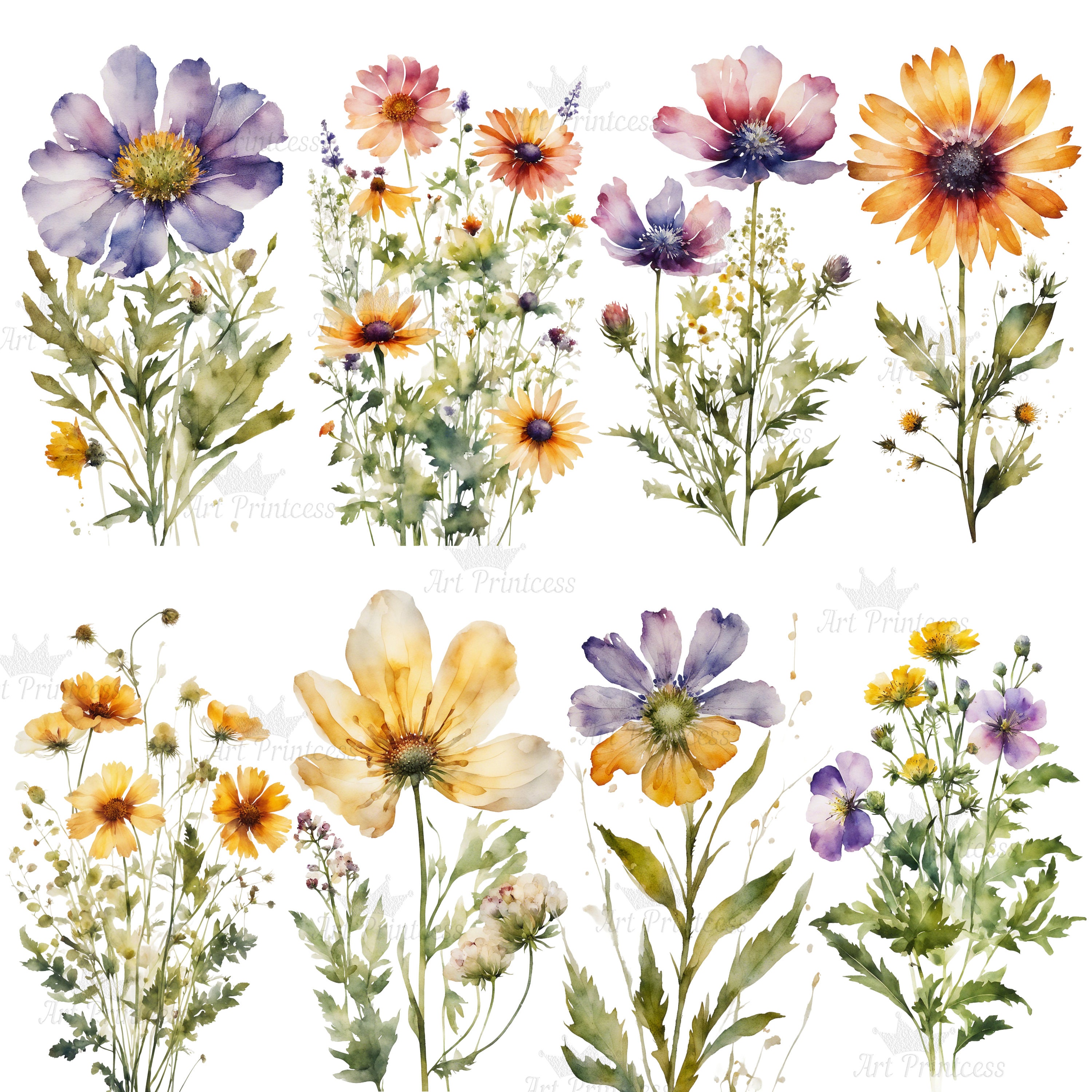 Wildflower Watercolor Clipart PNG Bundle Transparent Background Floral ...
