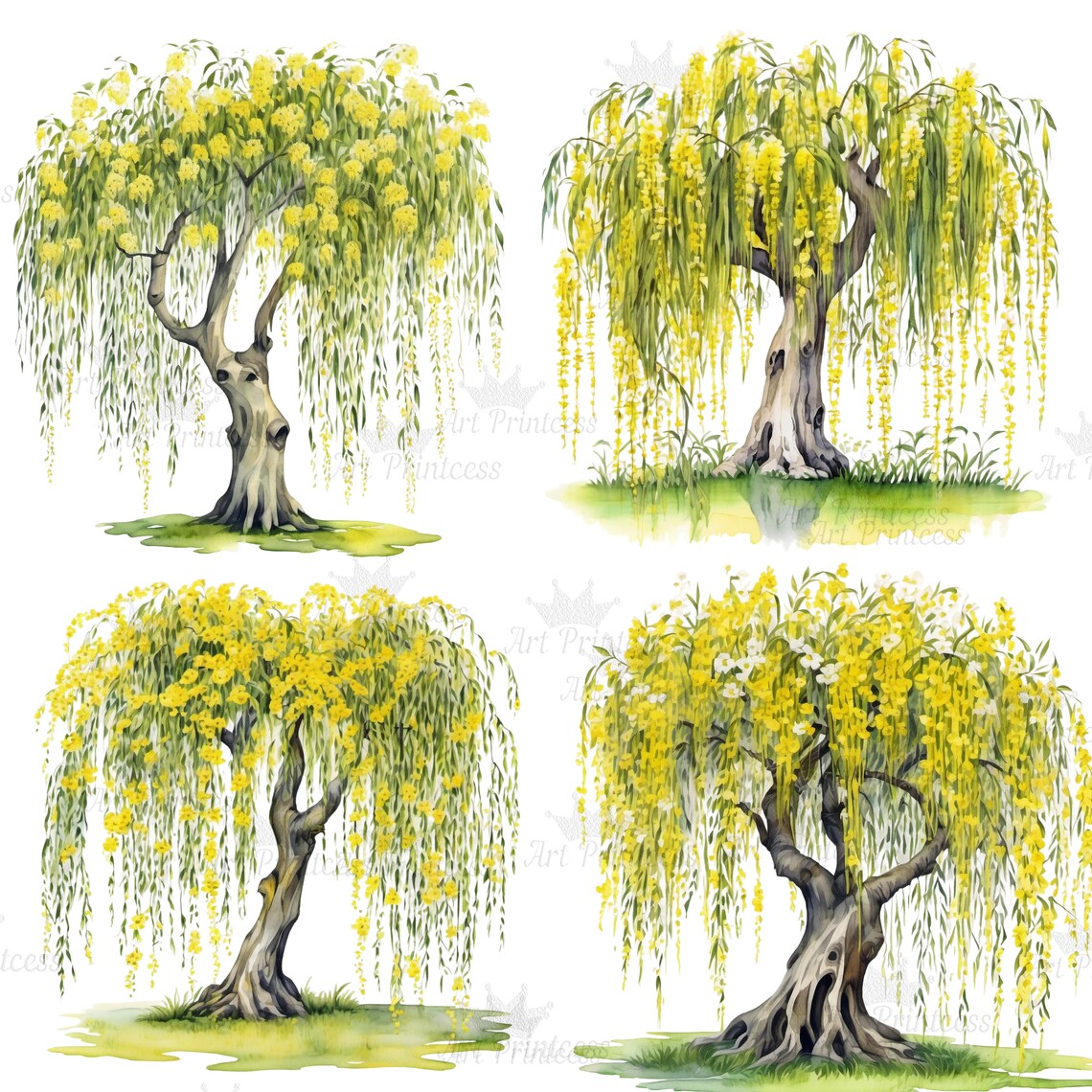 Colorful Weeping Willow Tree Clipart Bundle PNG Willow Anniversary ...