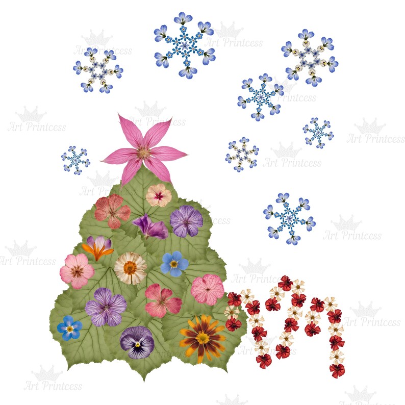 Pressed Flowers Christmas Designs Clipart PNG Real Flowers Printable ...