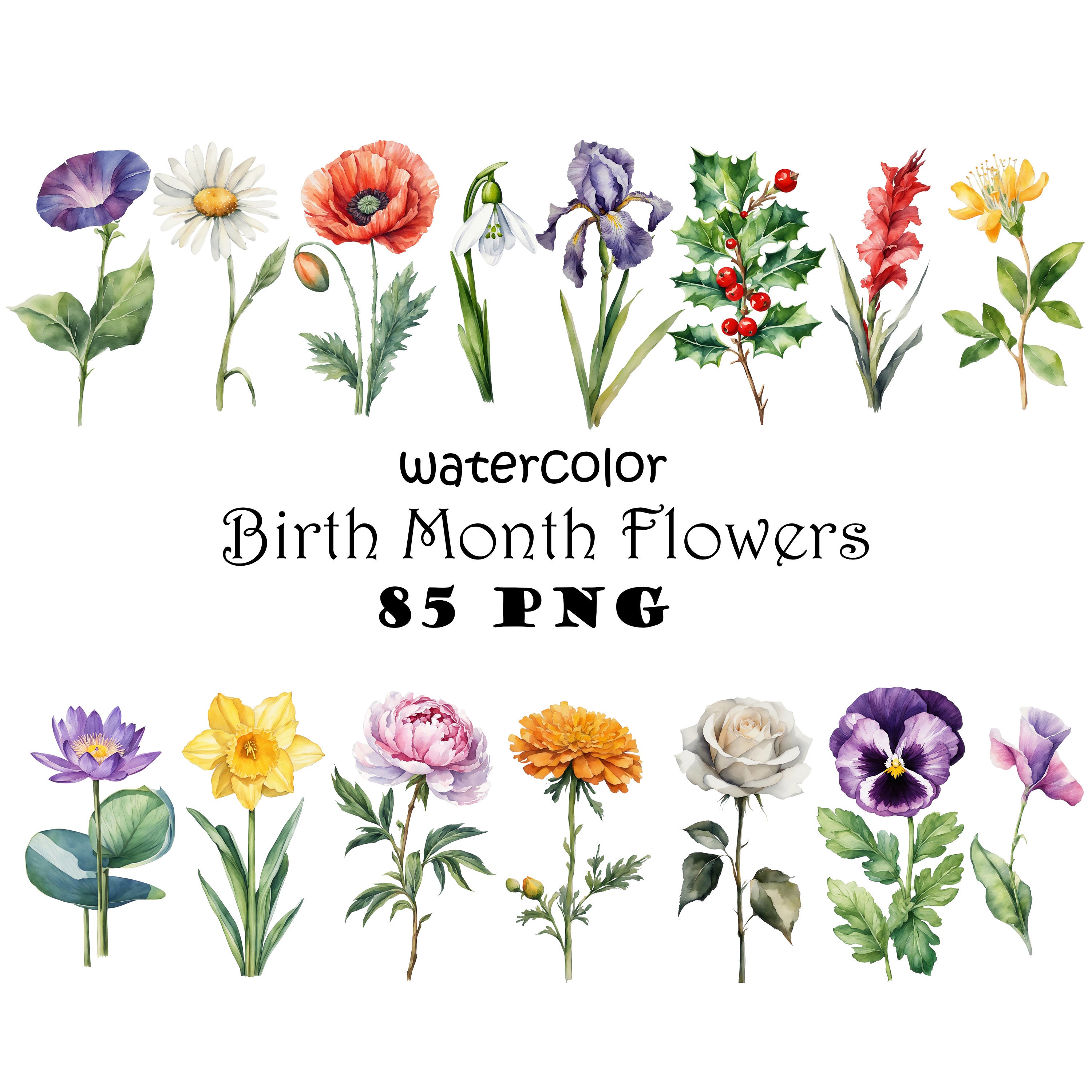 Watercolor Birth Month Flowers Clipart PNG Digital Bundle Classic ...
