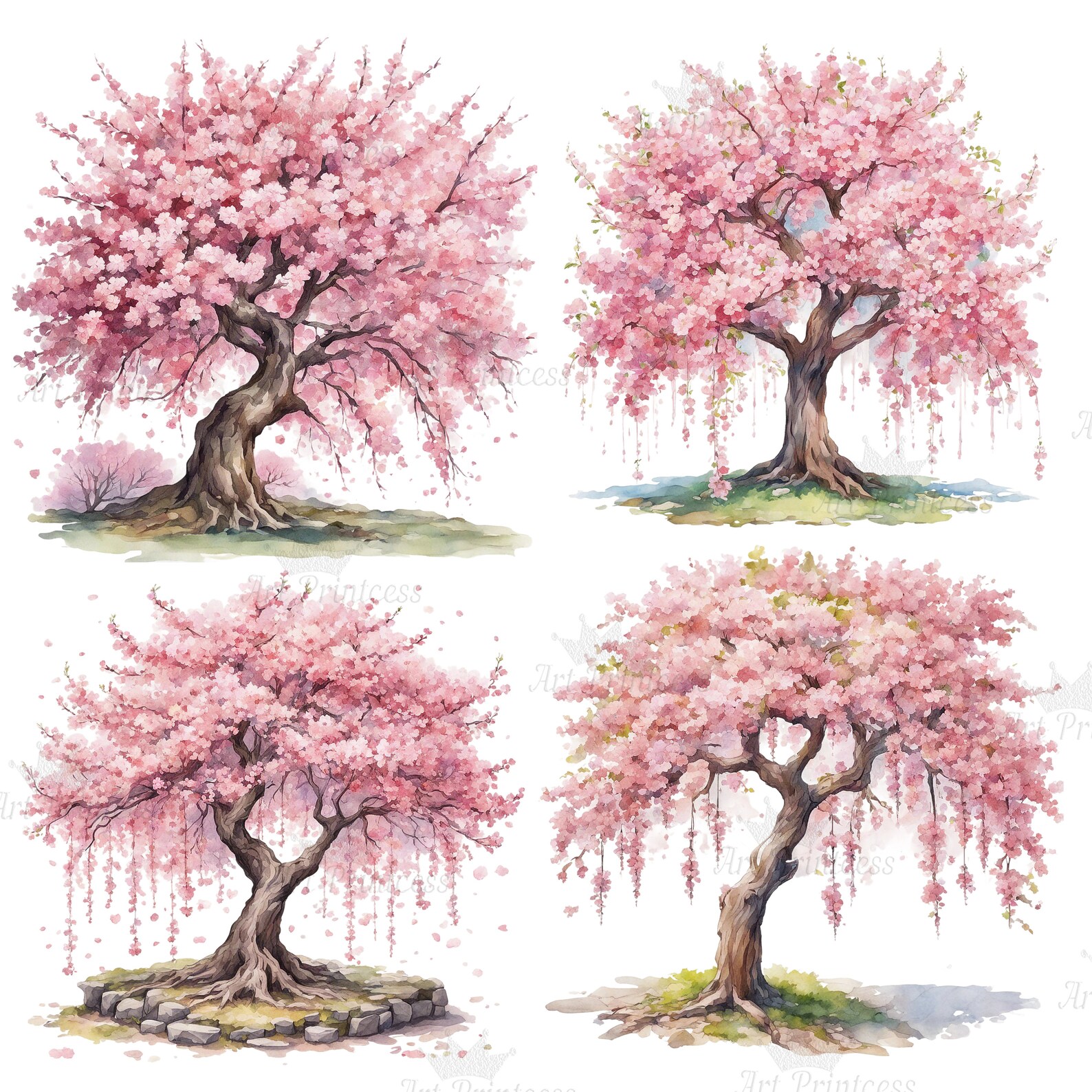Sakura Watercolor Clipart PNG Bundle Sakura Tree Clipart Sakura Flower ...