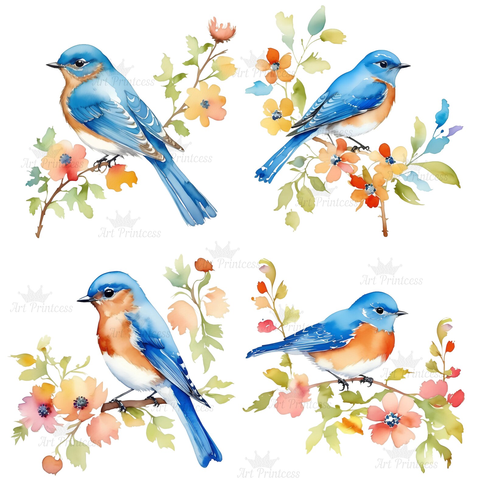 Bluebird Watercolor Gouache Clipart 40 PNG Digital Download Bundle Free ...