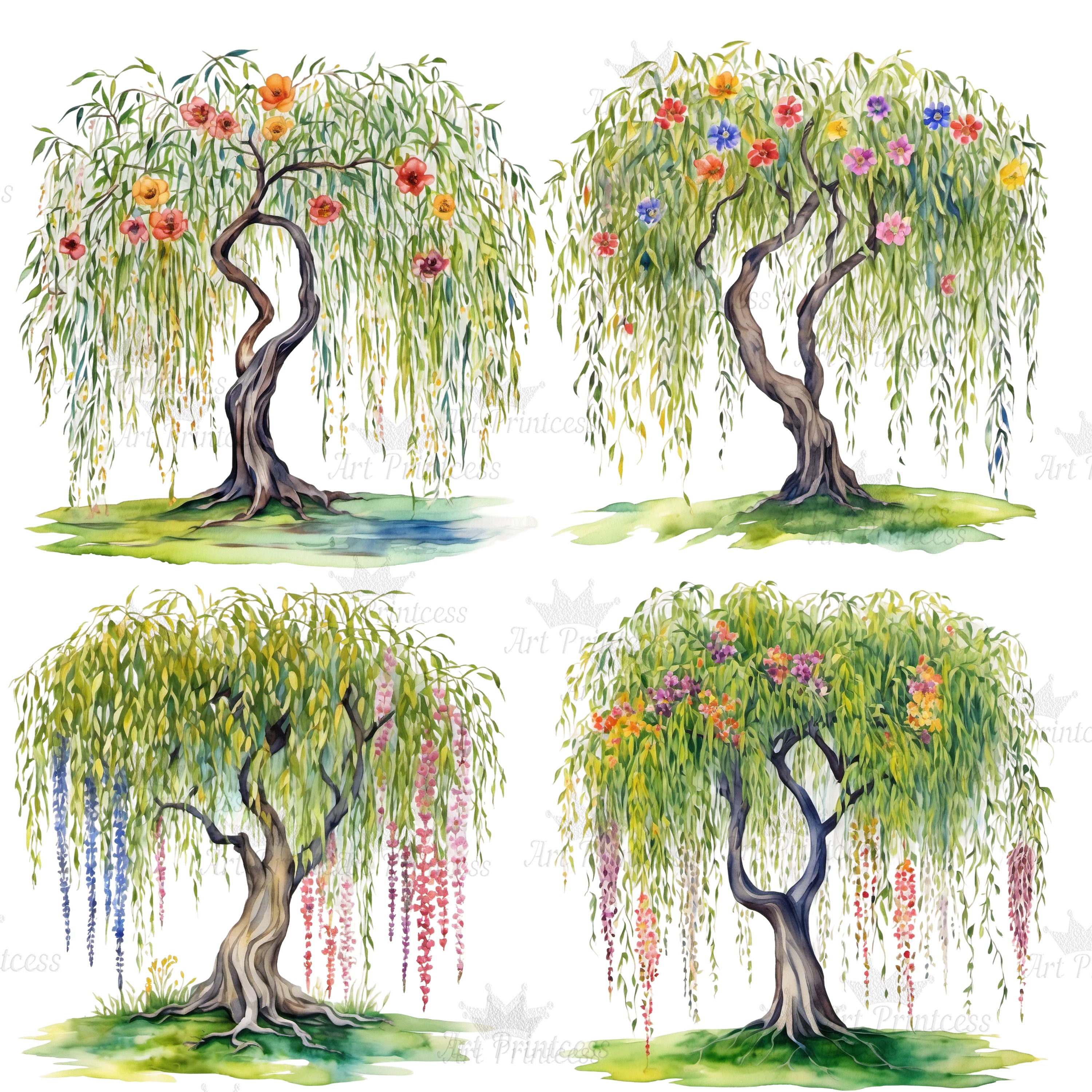 Colorful Weeping Willow Tree Clipart Bundle PNG Willow Anniversary ...