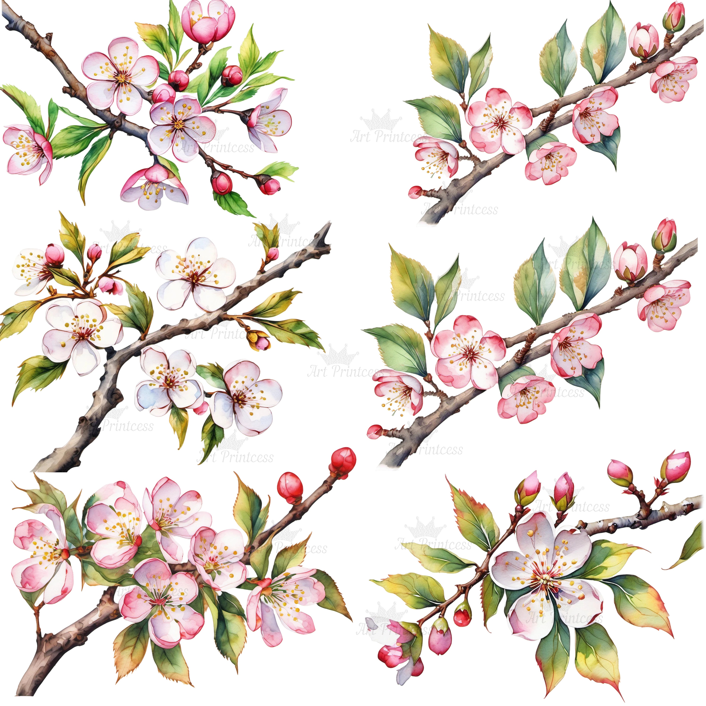 Sakura Clipart PNG Sakura Tree Sakura Branch Sakura Flower Watercolor ...