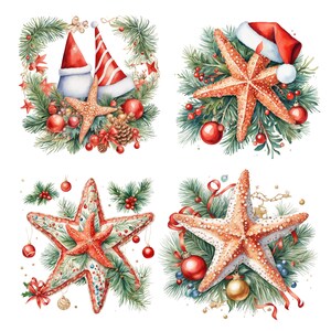 Coastal Christmas Seashells 35 Clipart PNG Watercolor Tropical Beach ...