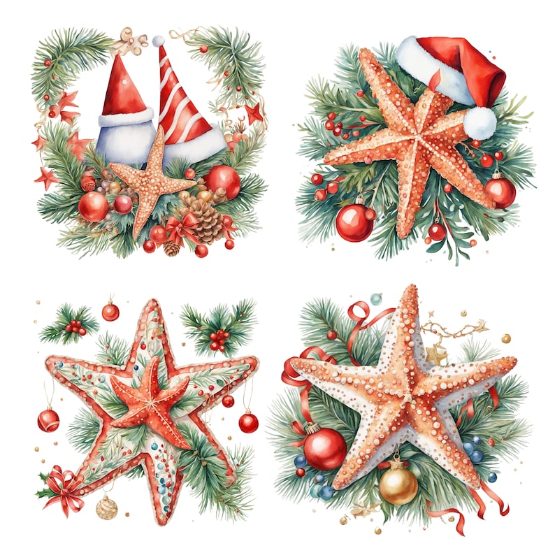 Coastal Christmas Seashells 35 Clipart PNG Watercolor Tropical Beach ...