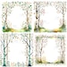 Watercolor Birch Tree Border Frames Clipart Birch Tree Borders ...