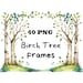 Watercolor Birch Tree Border Frames Clipart Birch Tree Borders ...