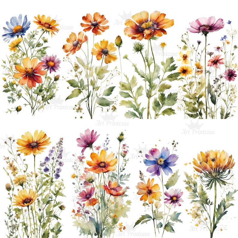 Wildflower Watercolor Clipart PNG Bundle Transparent Background Floral ...