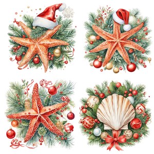 Coastal Christmas Seashells 35 Clipart PNG Watercolor Tropical Beach ...