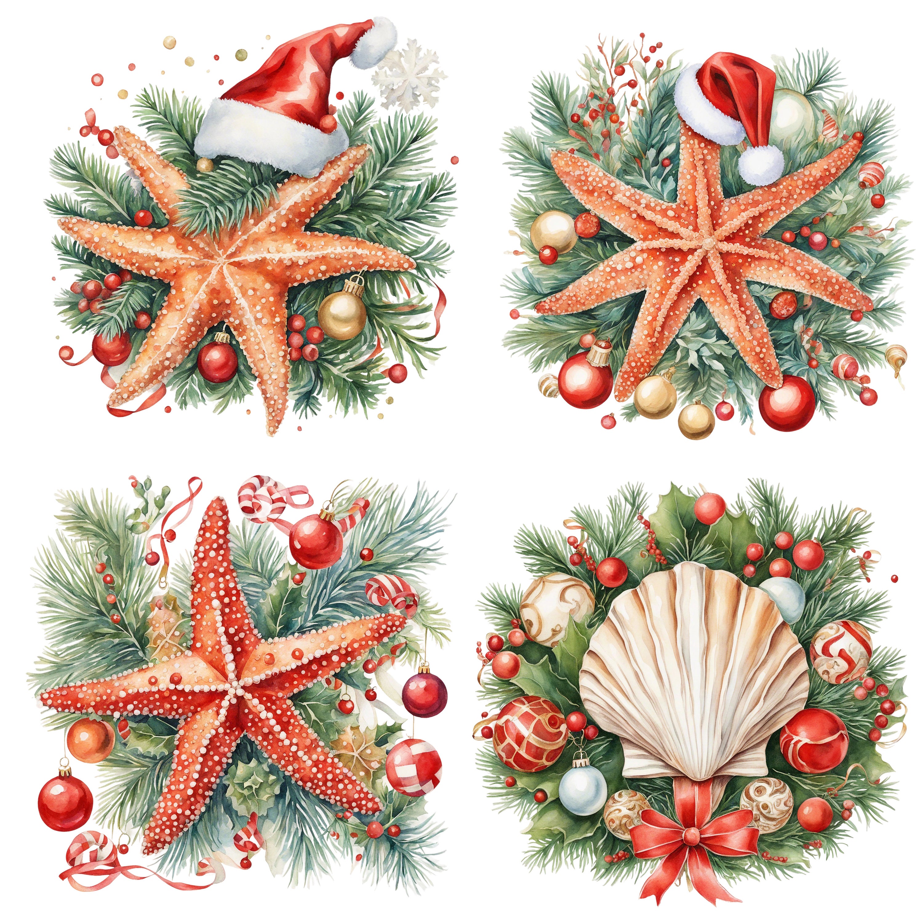 Coastal Christmas Seashells 35 Clipart PNG Watercolor Tropical Beach ...
