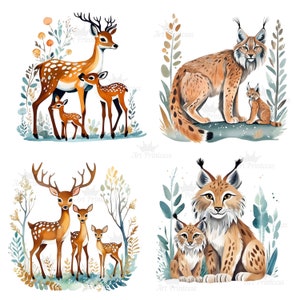 Cute Forest Animals Clipart -50 PNG Digital Download Woodland Creatures ...