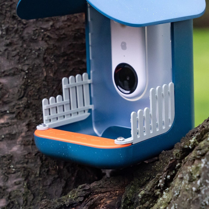 Birdbuddy Accessories - Etsy