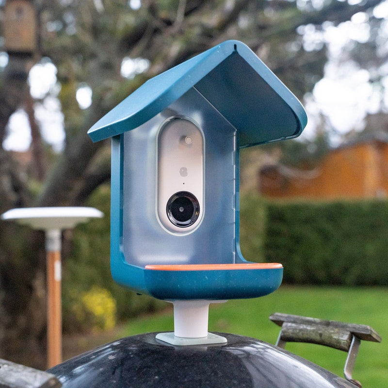 Bird Buddy Replacement Parts - Etsy