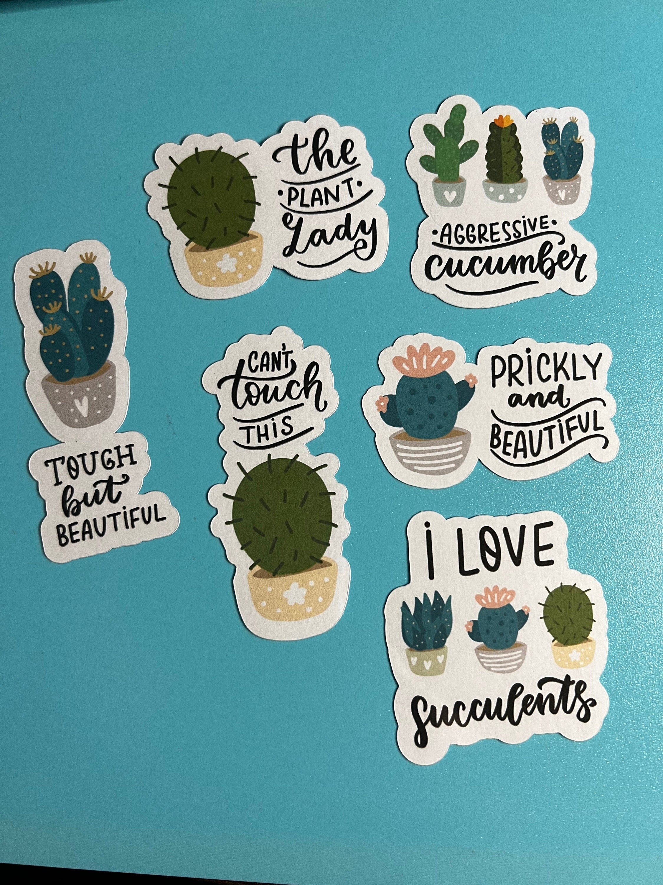 Succulents and Cacti Sticker Pack - Etsy