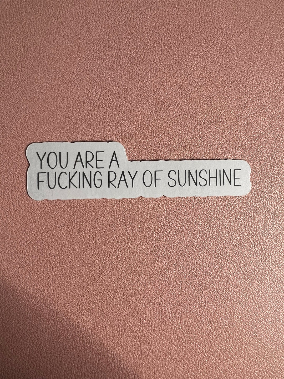 You Are a Fucking Ray of Sunshine - Sticker or Magnet - Etsy