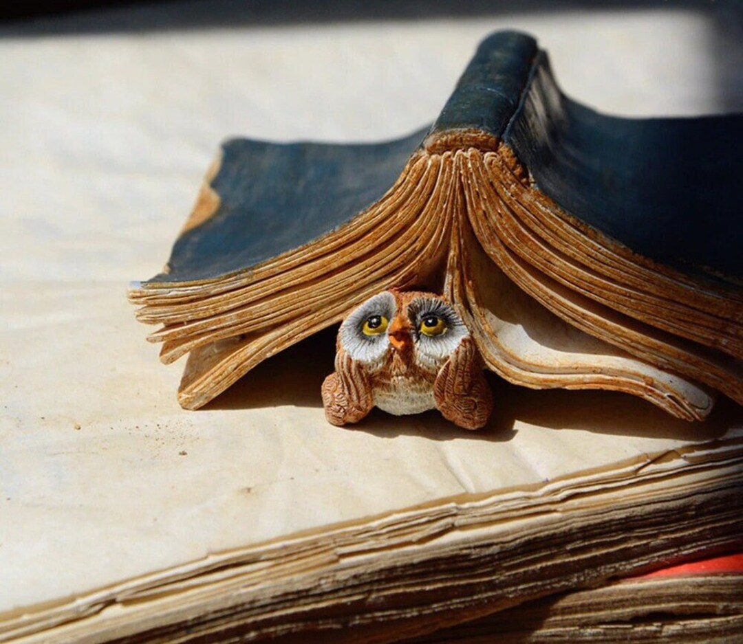 Adorable Owl Under Book Figurine Cute Handmade Ornament Gift Decor ...