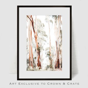 Eucalypt Tree Gum Tree Karri Australian Native Tree Australia Pemberton ...