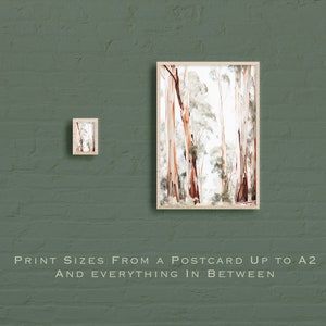 Eucalypt Tree Gum Tree Karri Australian Native Tree Australia Pemberton ...