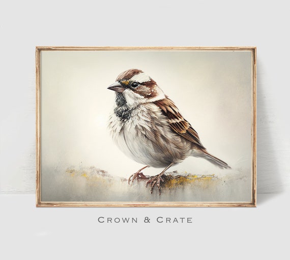 Vintage Sparrow Art