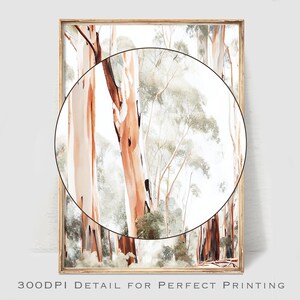 Eucalypt Tree Gum Tree Karri Australian Native Tree Australia Pemberton ...
