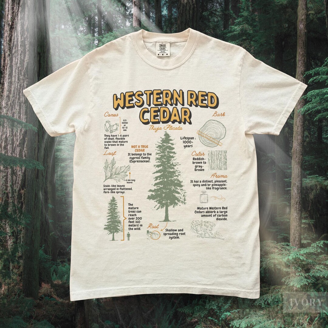 Vintage Western Red Cedar Anatomy T-shirt | Retro 90s Tree Science ...